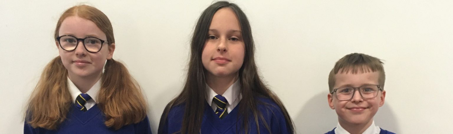 Mersey Primary Academy - Mersey Primary Academy